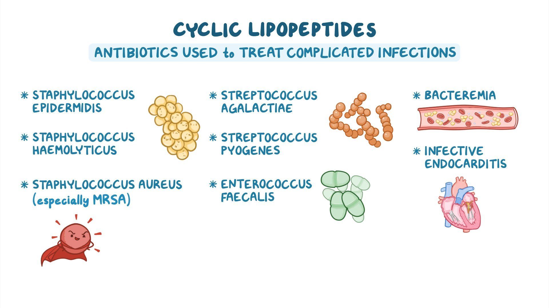 Video: Antibiotics - Cyclic lipopeptides: Nursing pharmacology | Osmosis
