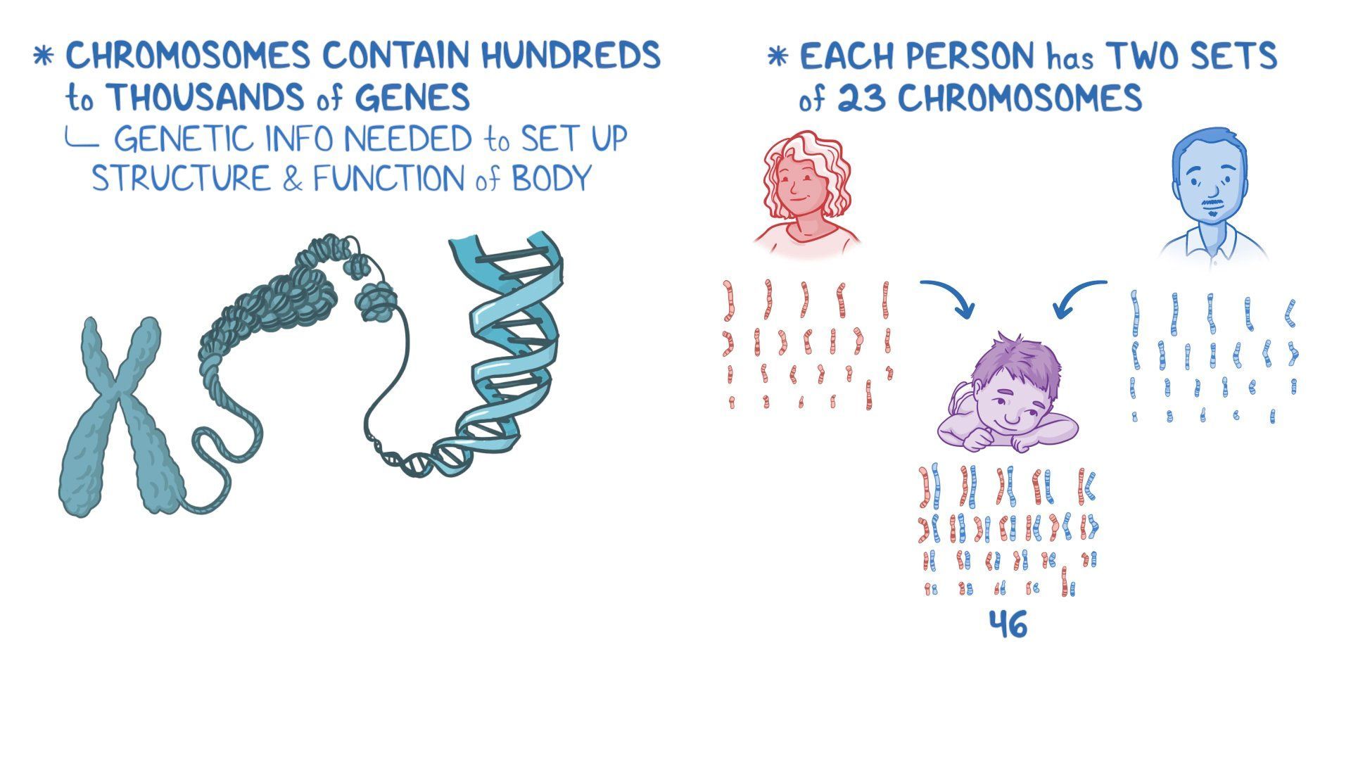 Video: Isodicentric chromosome 15 syndrome: Year of the Zebra 2026 ...