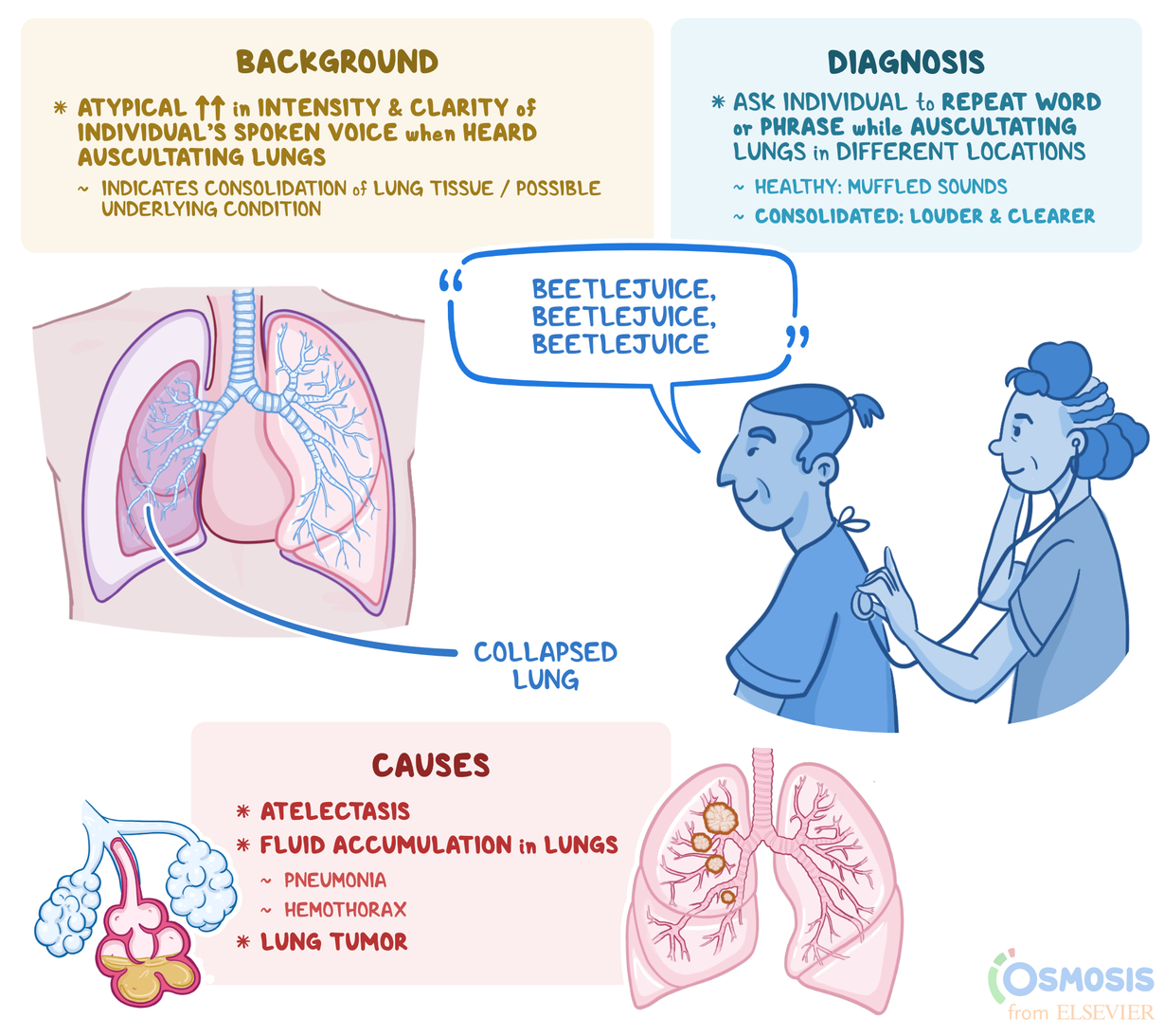Pneumonia Lung Sounds Wolfclassic Pneumonia Lung Sounds Wolfclassic