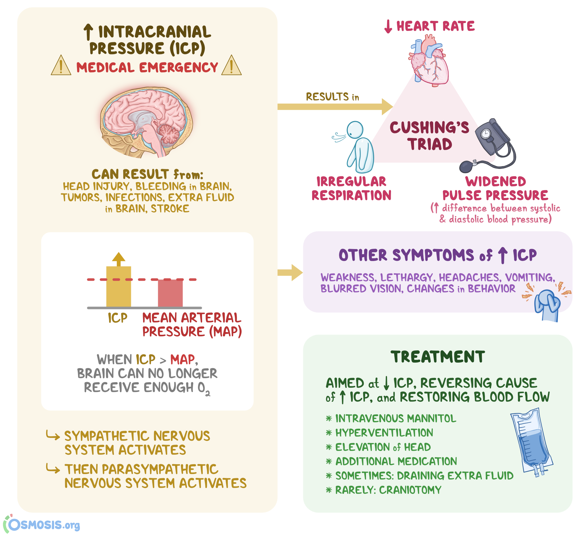 Cushing s Triad What Is It Causes Diagnosis Treatment And More Cushing s Triad What Is It Causes Diagnosis Treatment And More