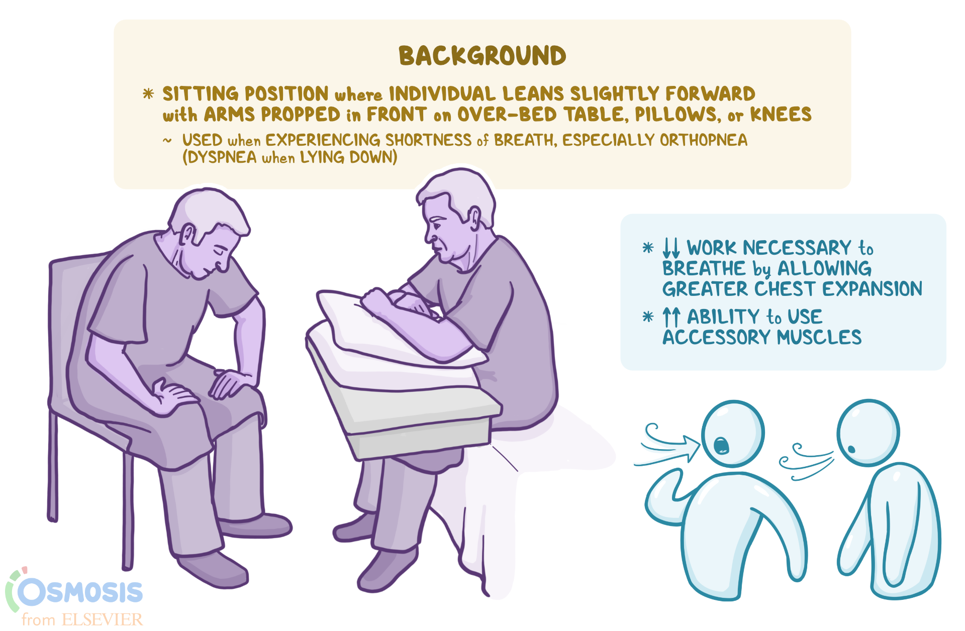 Orthopneic Position: What Is It, Uses, and How It Helps Breathing | Osmosis