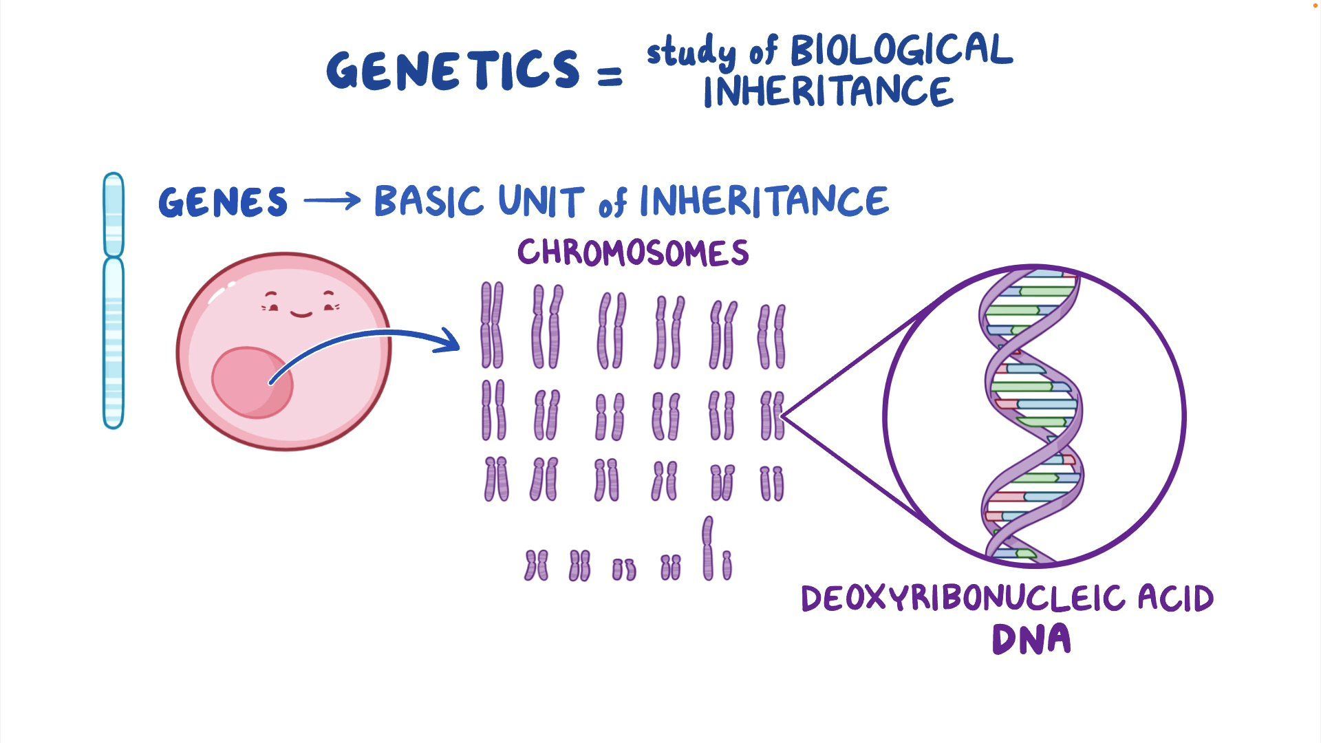 Video Genomics Dna Structure Nursing Osmosis
