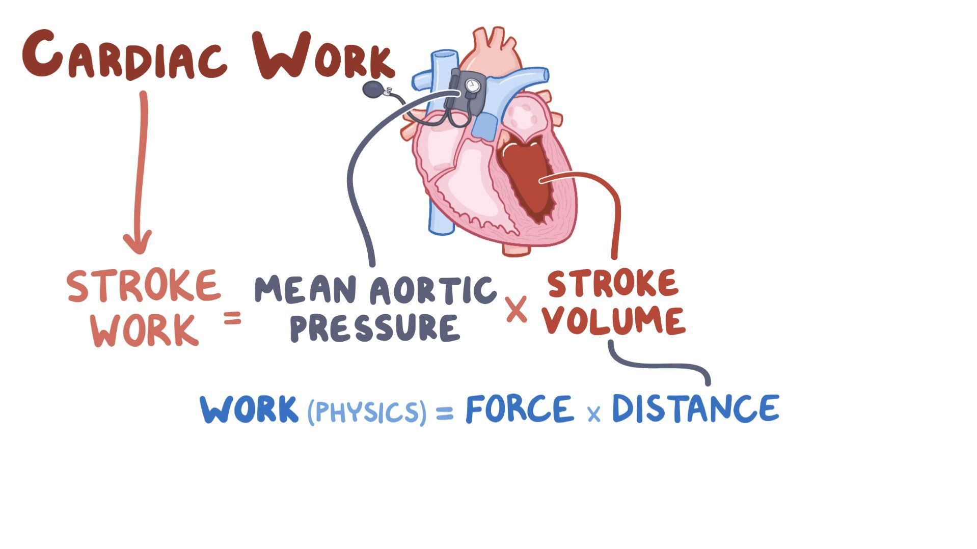 Video: Cardiac work | Osmosis