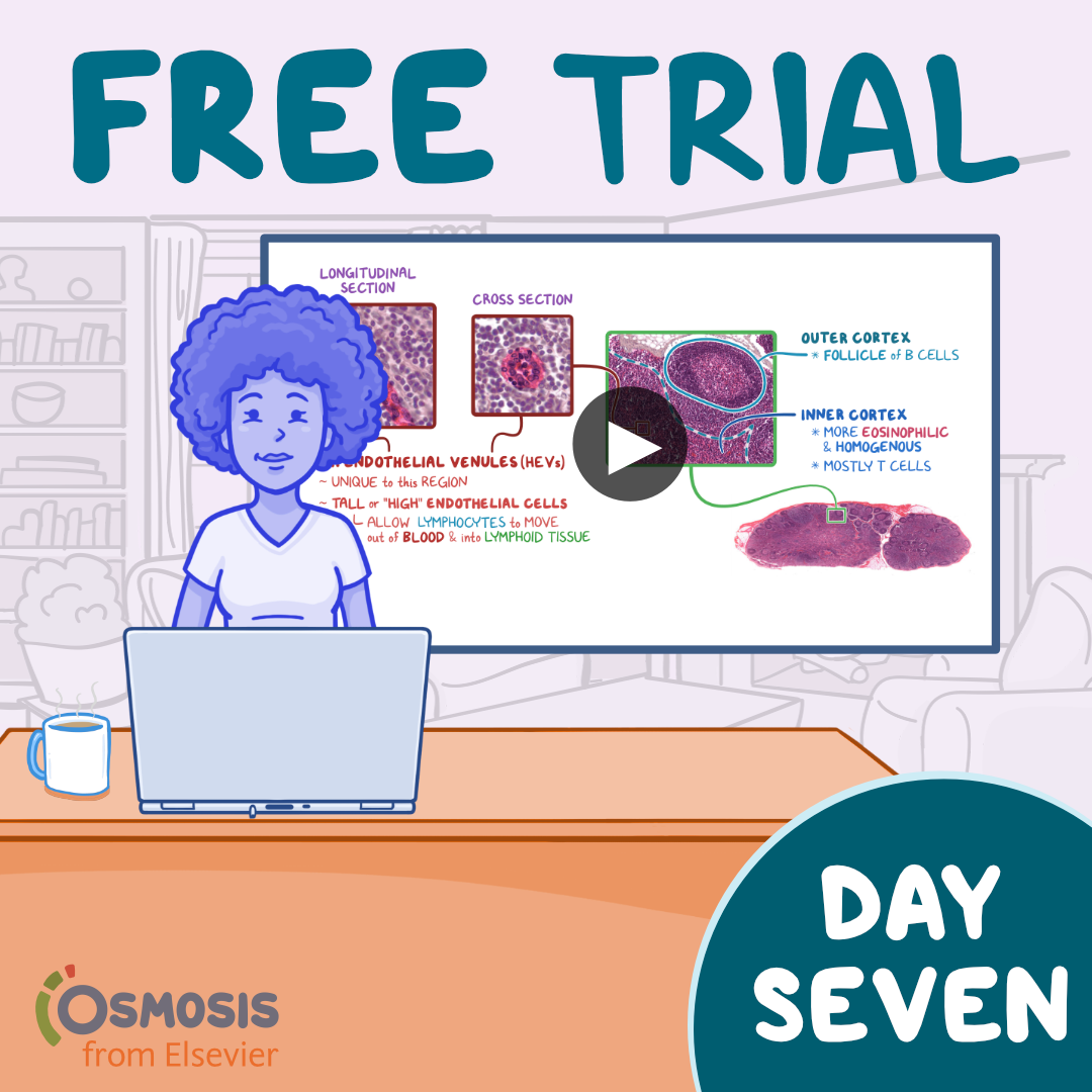 Osmosis - 12 Days of Osmosis