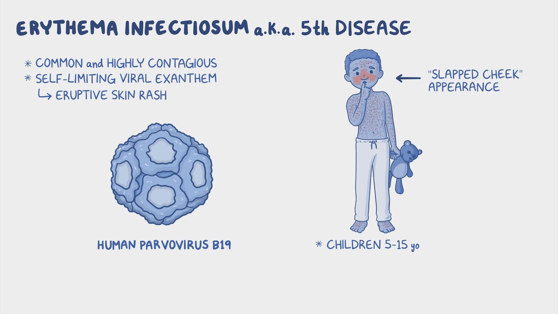 Video: Erythema infectiosum (Fifth disease): Nursing | Osmosis