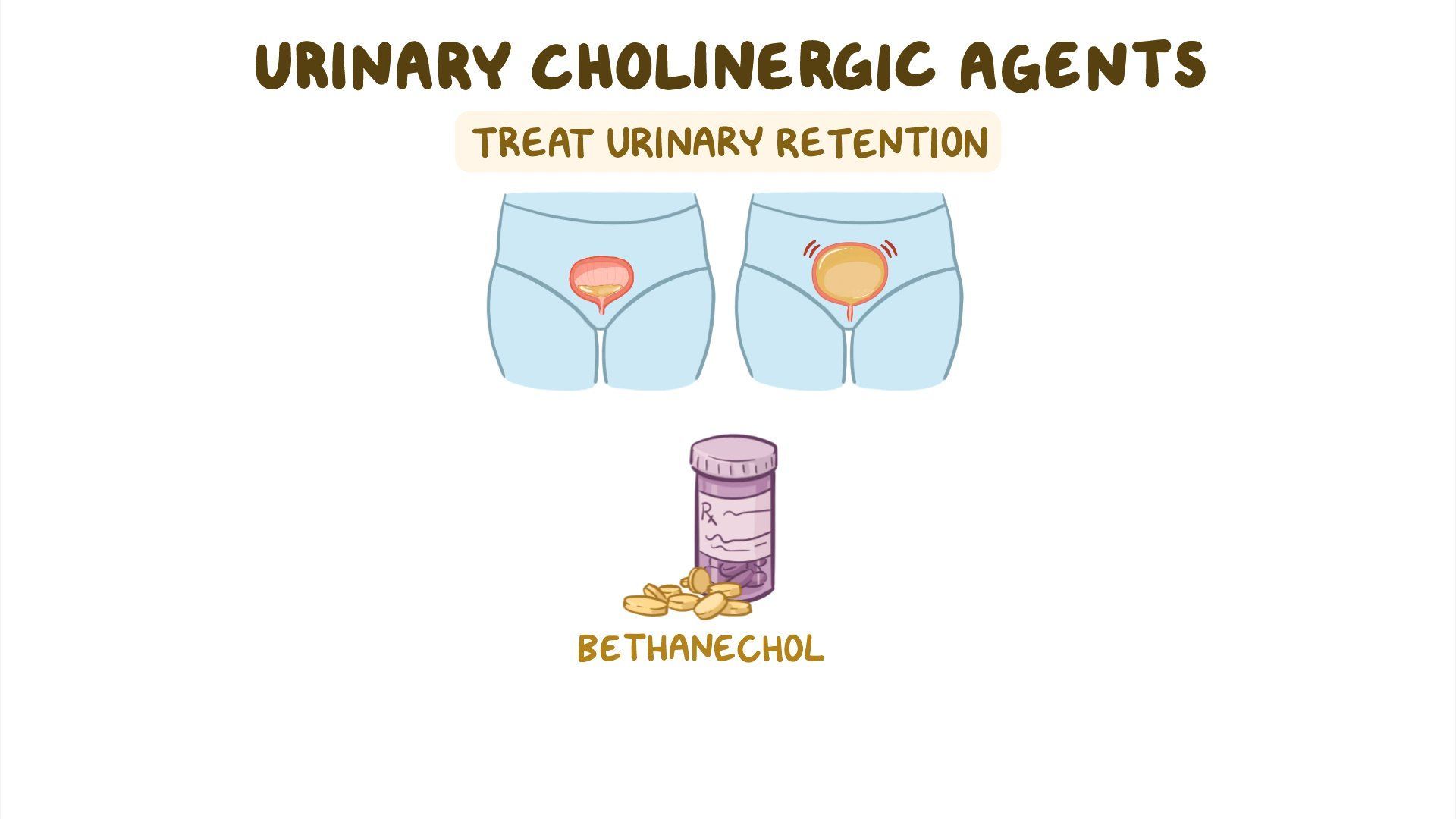 Video: Cholinergic therapy (GU): Nursing pharmacology | Osmosis