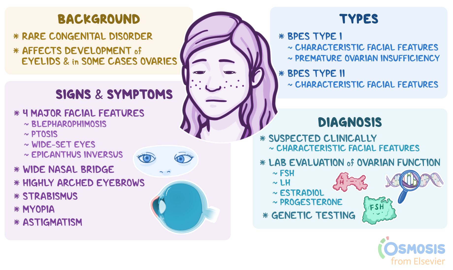 Blepharophimosis, Ptosis | Osmosis