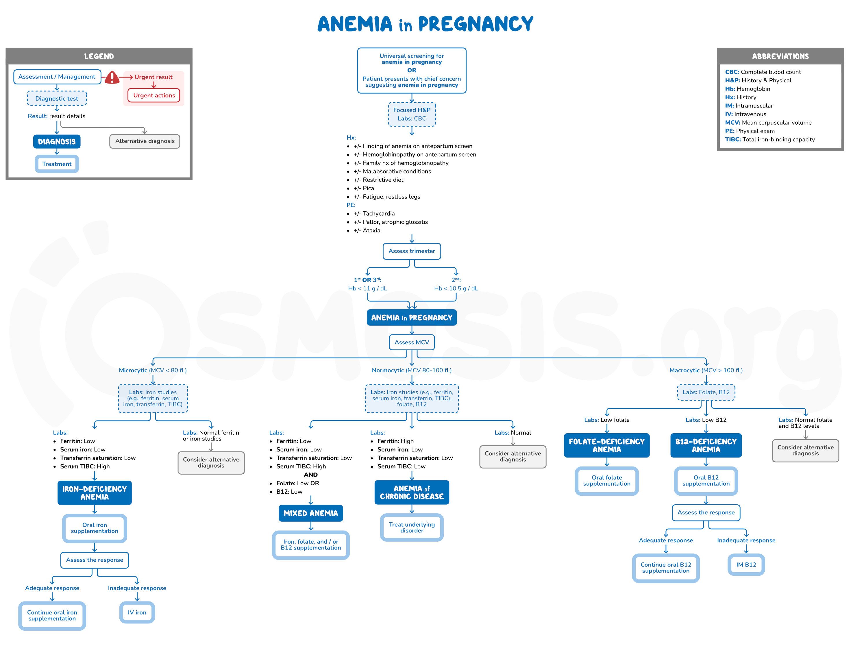 How To Identify And Treat Anemia In Pregnancy The Pulse