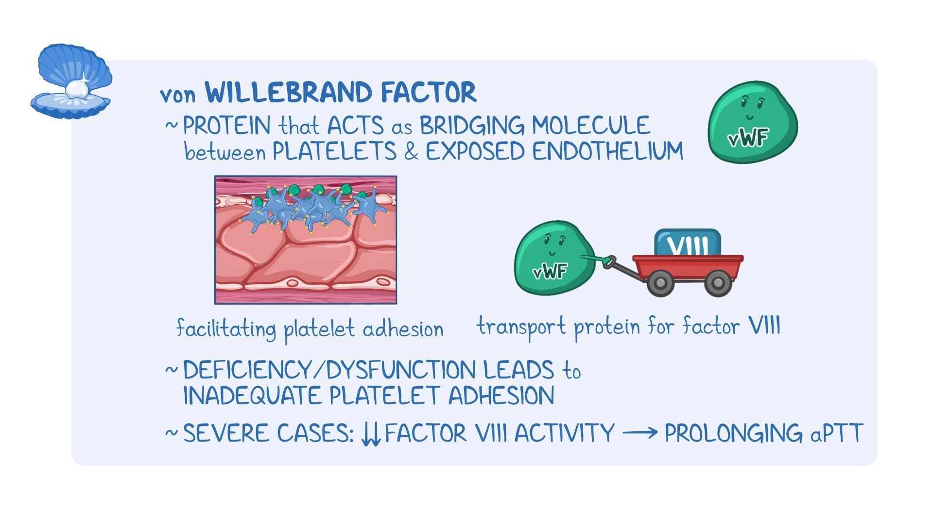 Video: Approach to bleeding disorders (coagulopathy): Clinical sciences ...