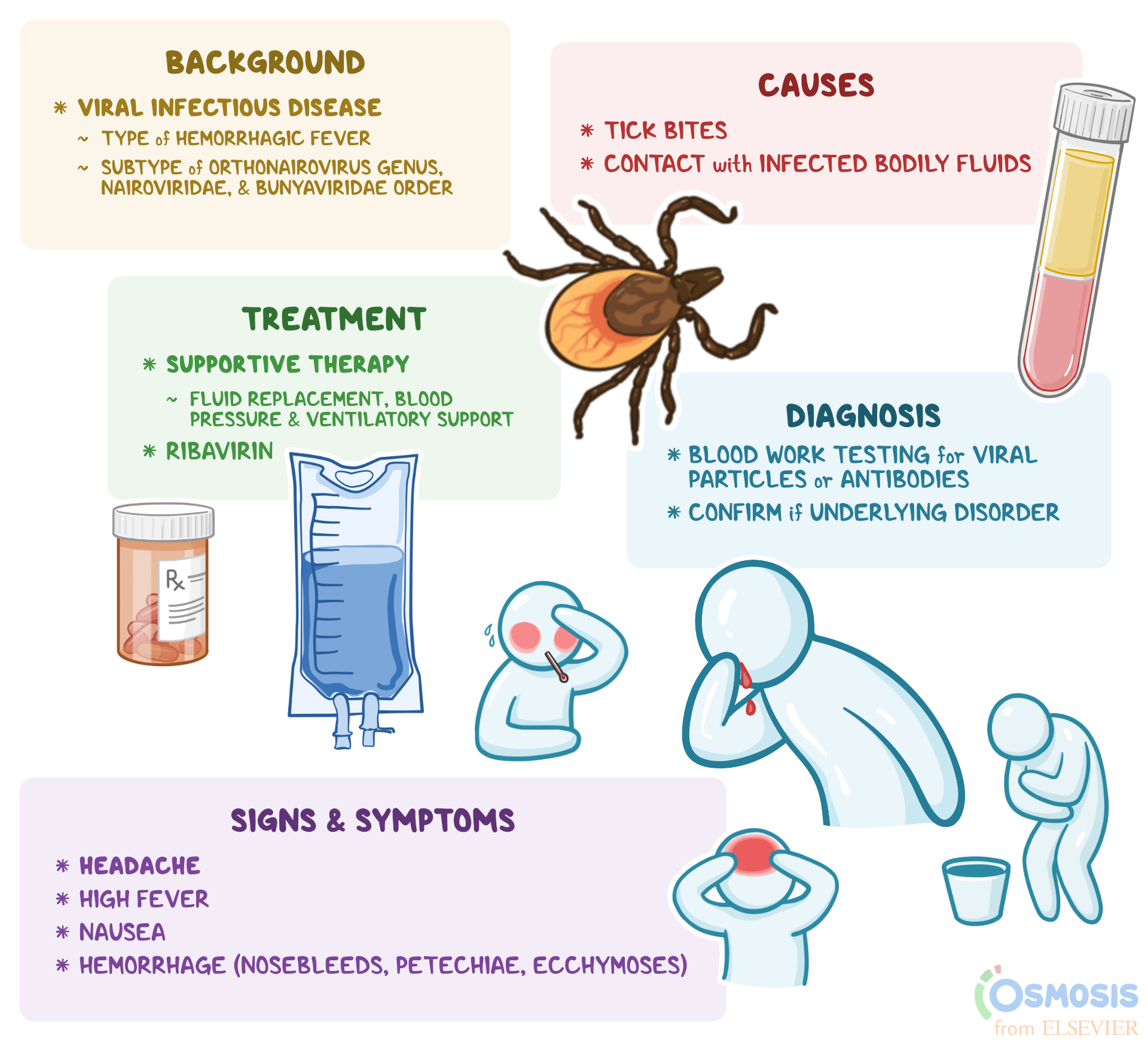 Crimean Congo Hemorrhagic Fever What Is It Causes Spread Signs
