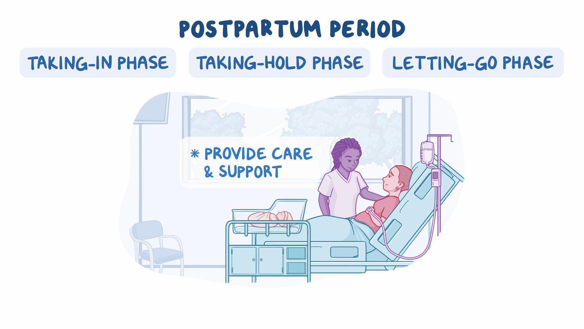 Video: Nursing Care for the Postpartum Woman and Family | Osmosis
