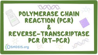 Video poster for Polymerase chain reaction (PCR) and reverse ...