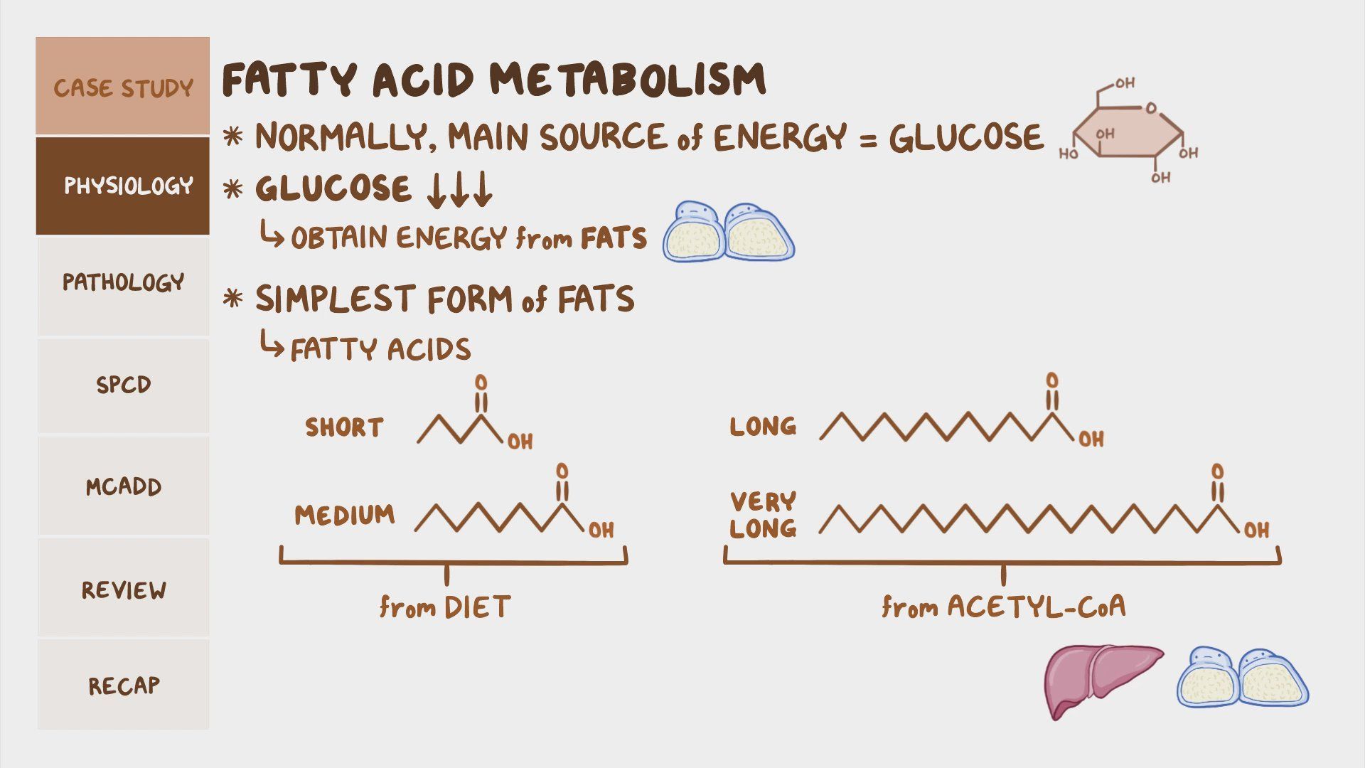 Disorders of fatty acid metabolism: Pathology review - Osmosis