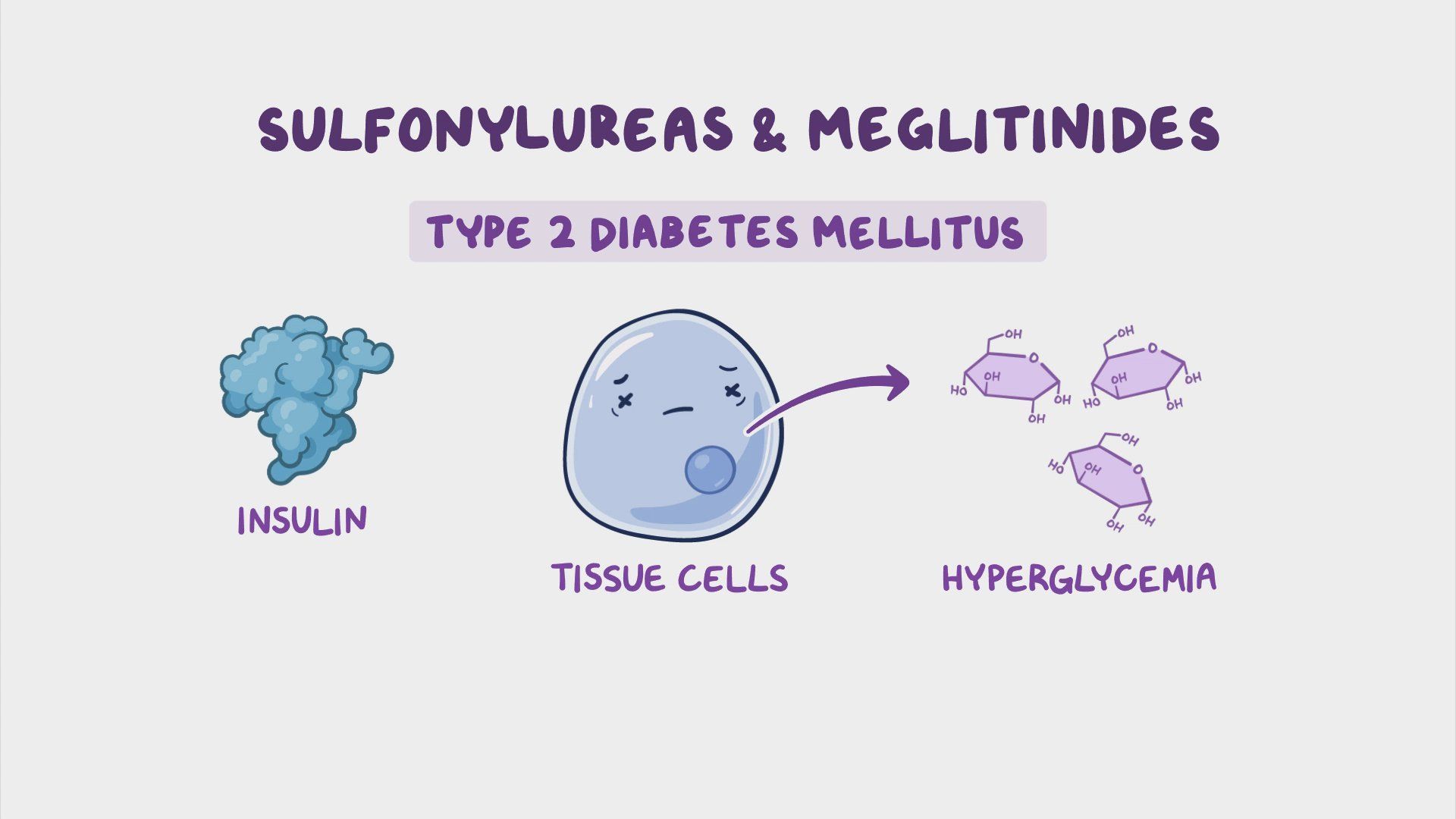 Video: Oral antidiabetic medications - Sulfonylureas and meglitinides ...