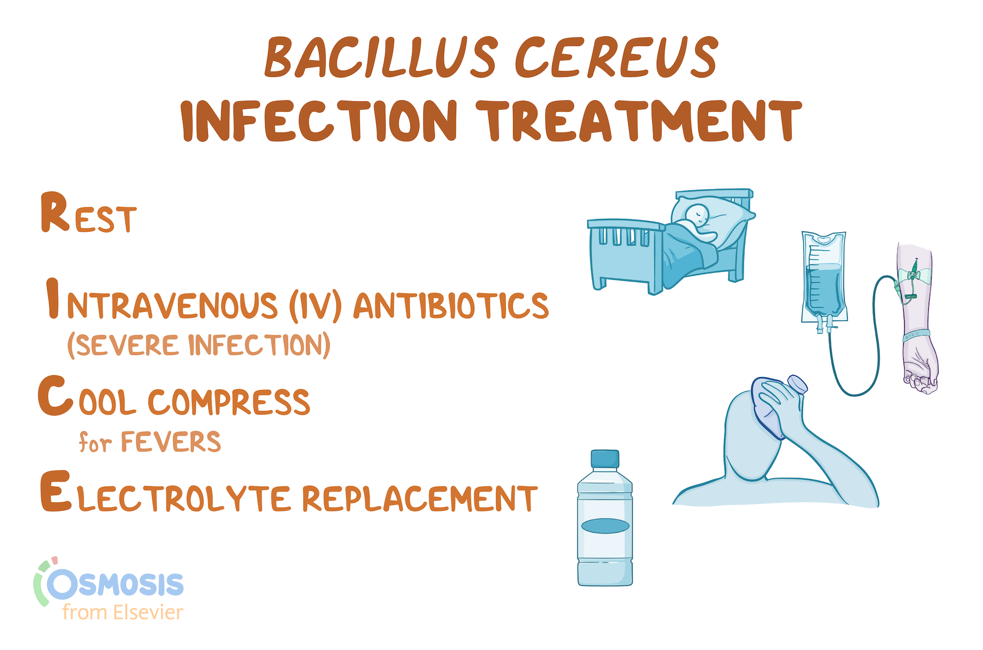 RICE: Bacillus cereus Infection Treatment Acronym | Osmosis