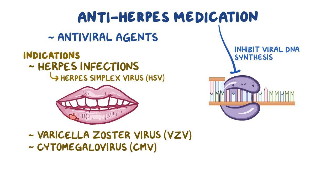 Video: Herpesvirus medications | Osmosis