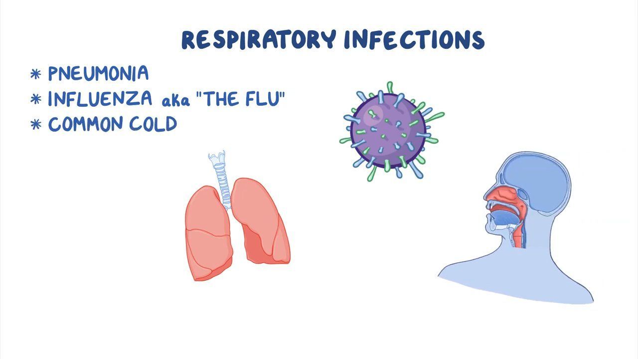 Video: Respiratory system: Infections | Osmosis