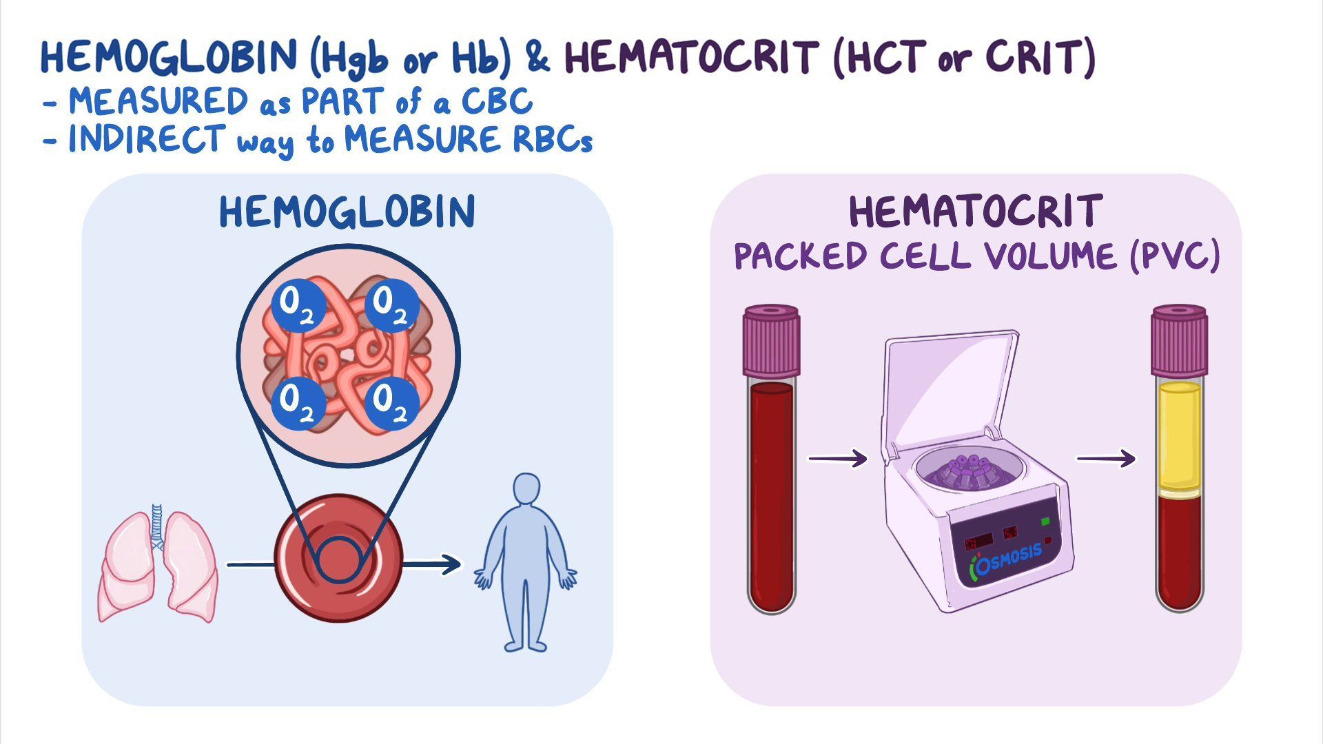 Video Complete Blood Count CBC Hemoglobin And Hematocrit Nursing Video Complete Blood Count CBC Hemoglobin And Hematocrit Nursing