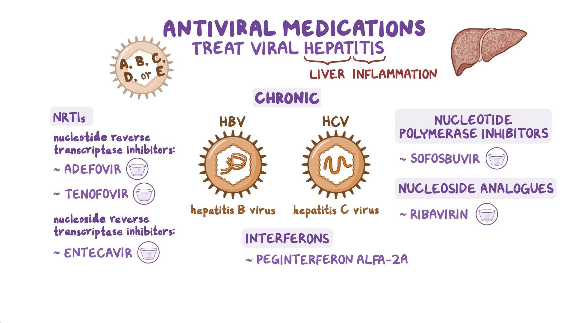 Video: Antivirals for Hepatitis B and C | Osmosis