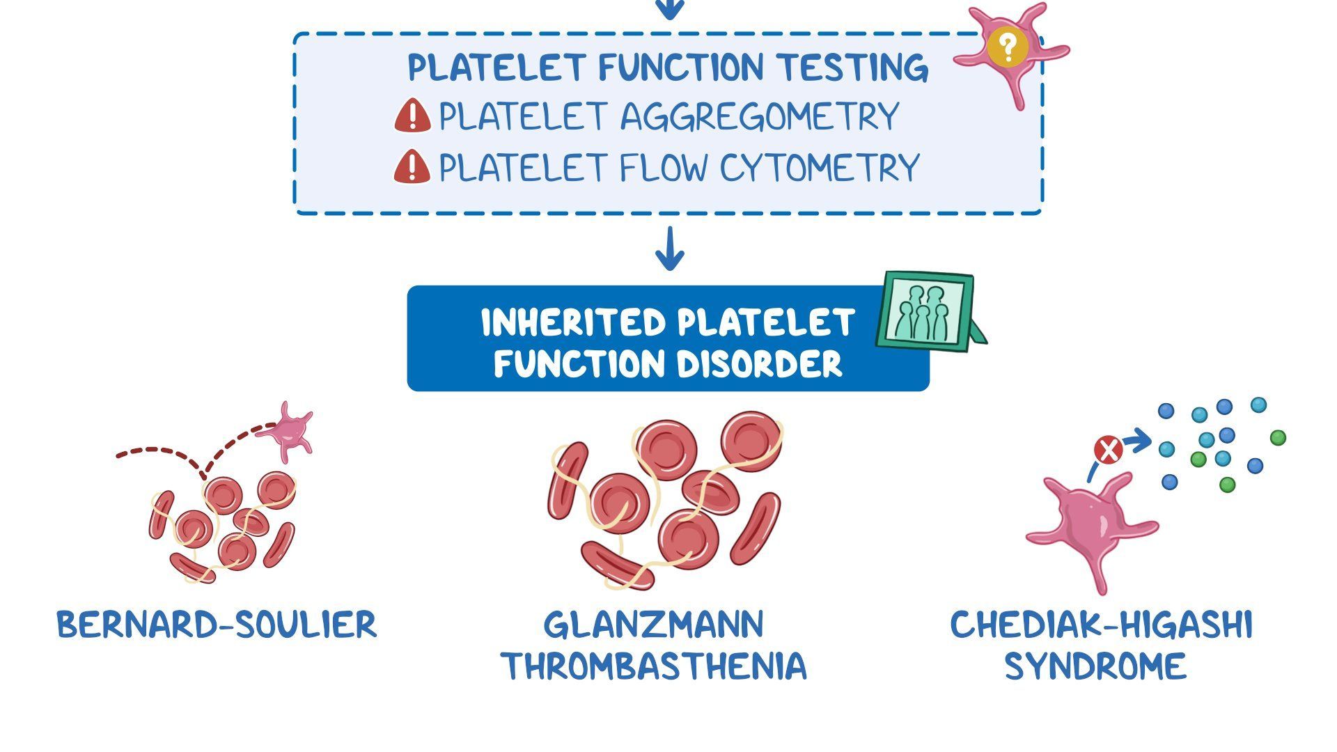 Video: Approach to bleeding disorders (platelet dysfunction): Clinical sciences | Osmosis