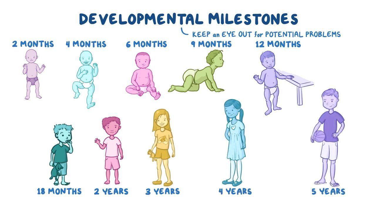 Developmental Milestones Clinical Practice Osmosis