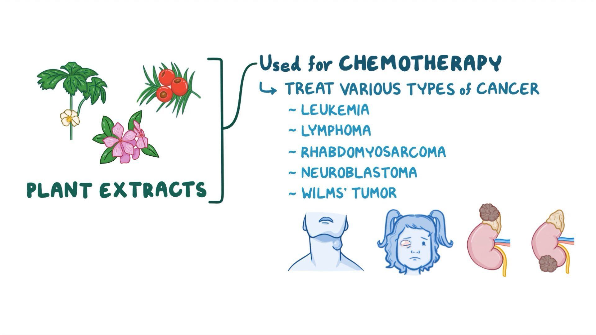 Video: Plant extracts for chemotherapy: Nursing pharmacology | Osmosis