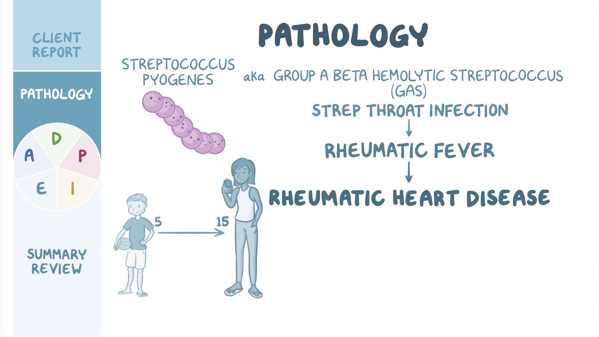 Video Rheumatic Heart Disease Nursing Process ADPIE Osmosis