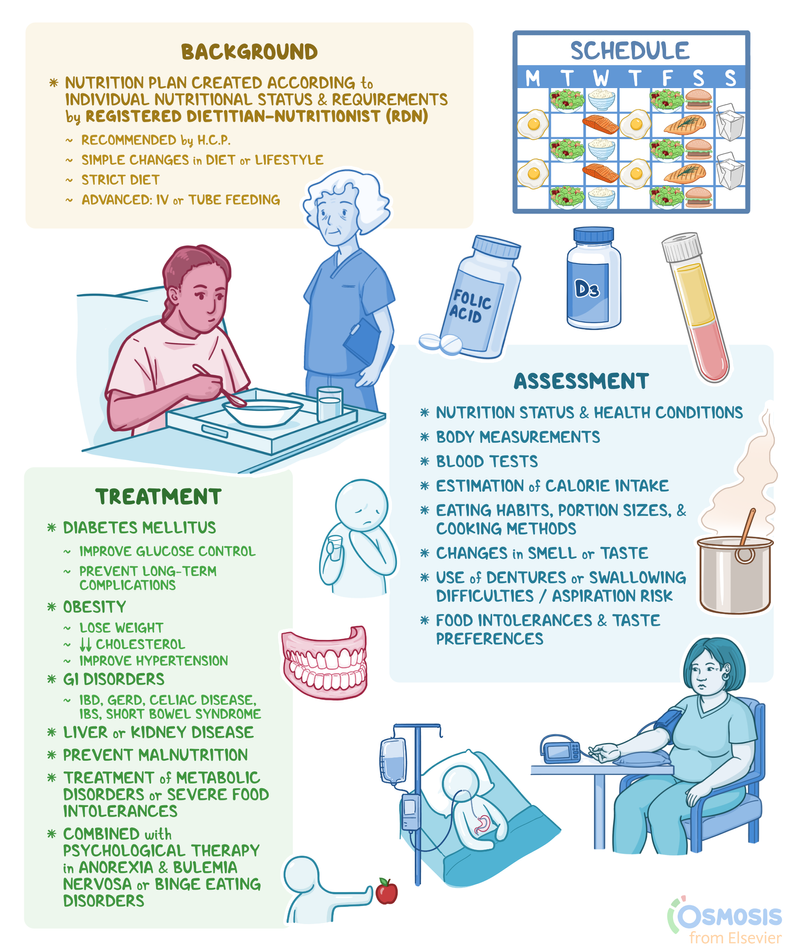Medical Nutrition Therapy What Is It Uses Examples And More