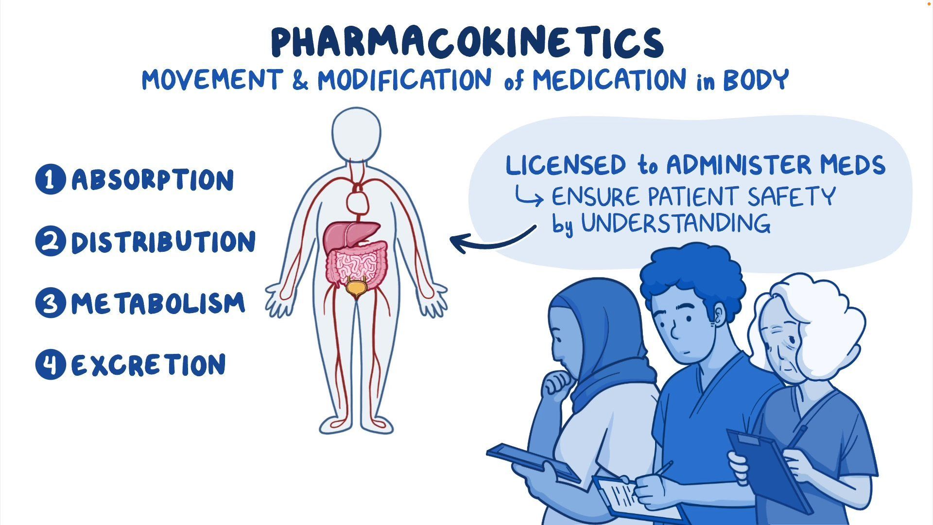 Video: Pharmacokinetics | Osmosis