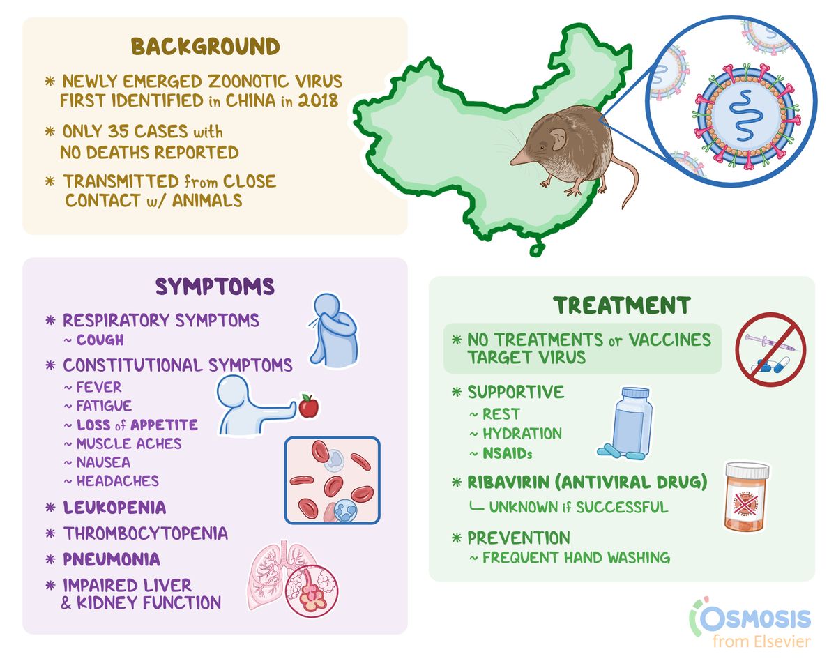 Langya Virus: What Is It, How Is It Transmitted, and More | Osmosis