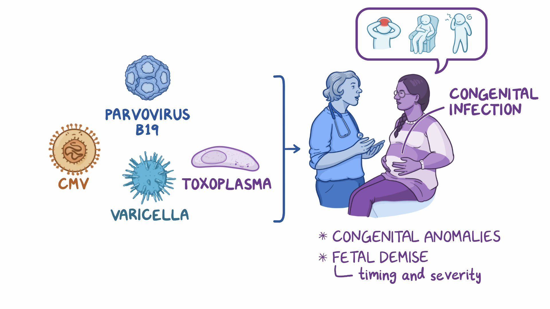 Video: Cytomegalovirus (CMV), parvovirus B19, varicella zoster, and ...