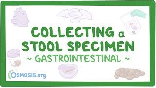 Video poster for Gastrointestinal: Collecting a stool specimen