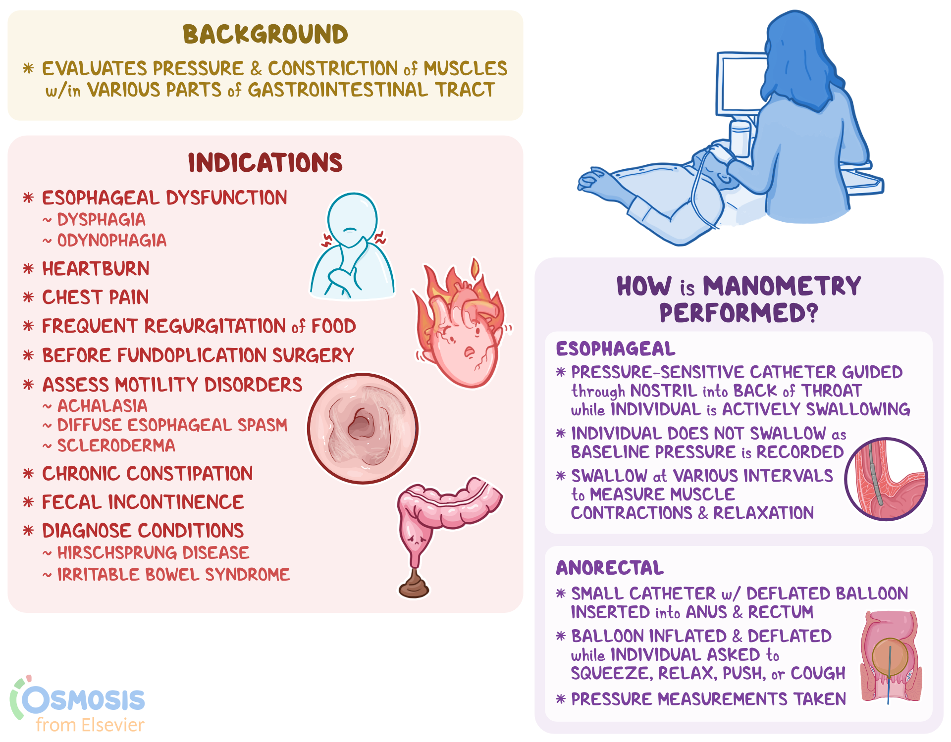 Manometry: What Is It, When Is It Performed, and More | Osmosis
