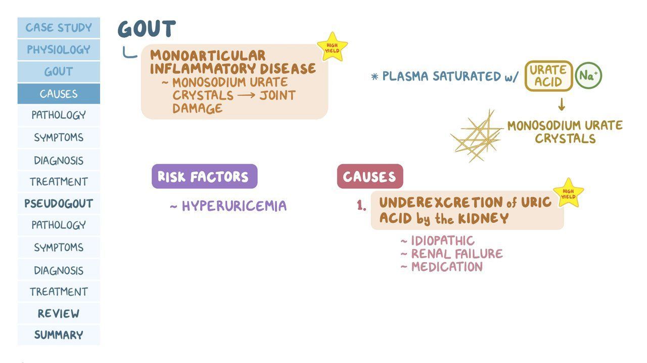 Video: Gout and pseudogout: Pathology review | Osmosis