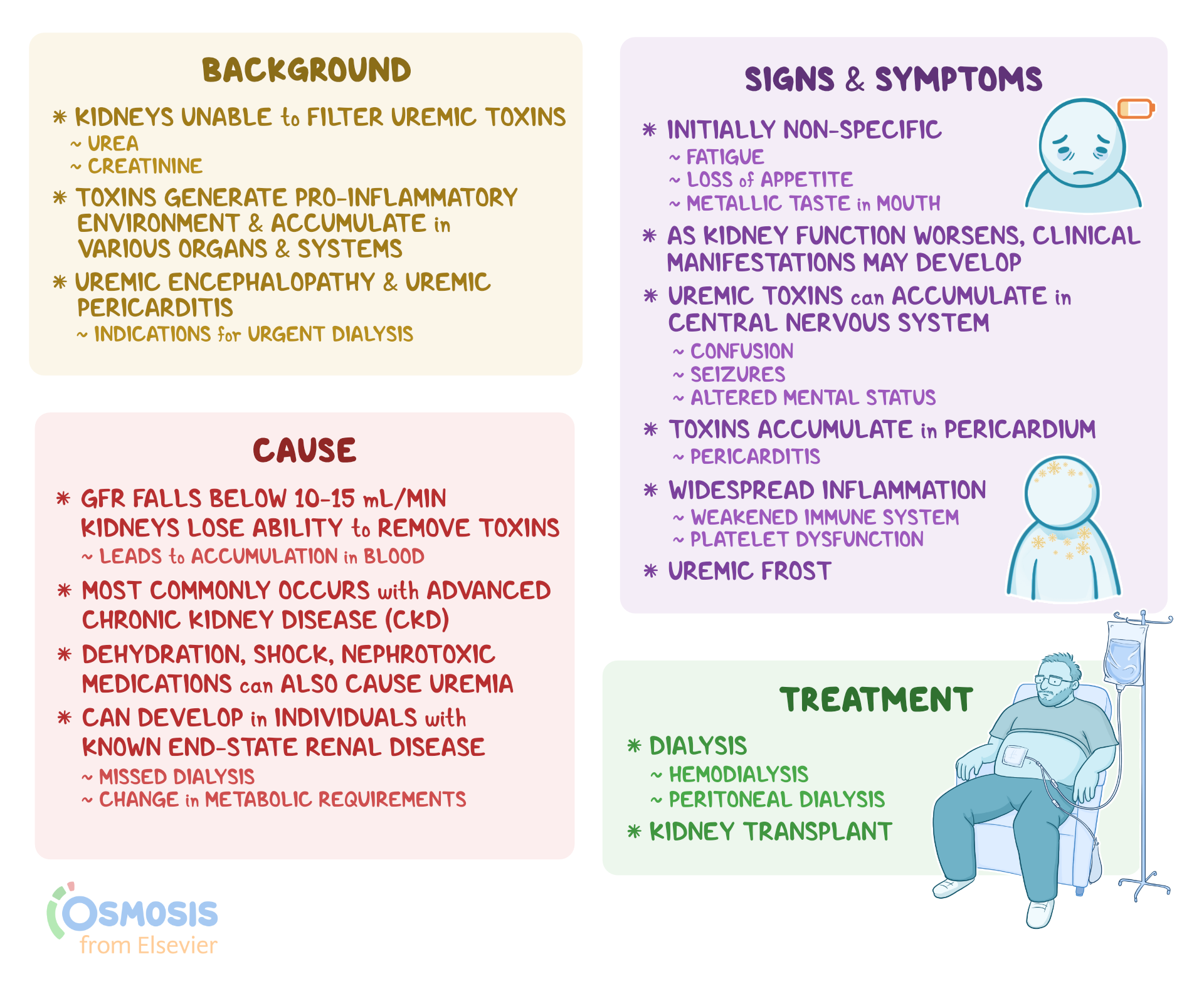 Uremia: What Is It, Causes, Signs and Symptoms, and More | Osmosis