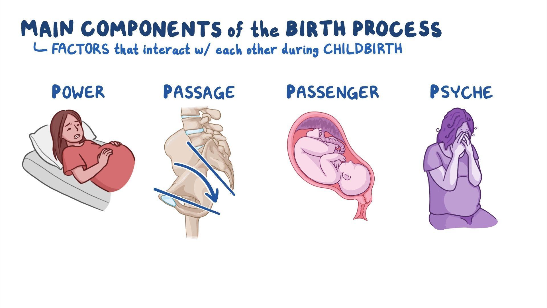 Video Labor And Birth Processes Osmosis Video Labor And Birth Processes Osmosis
