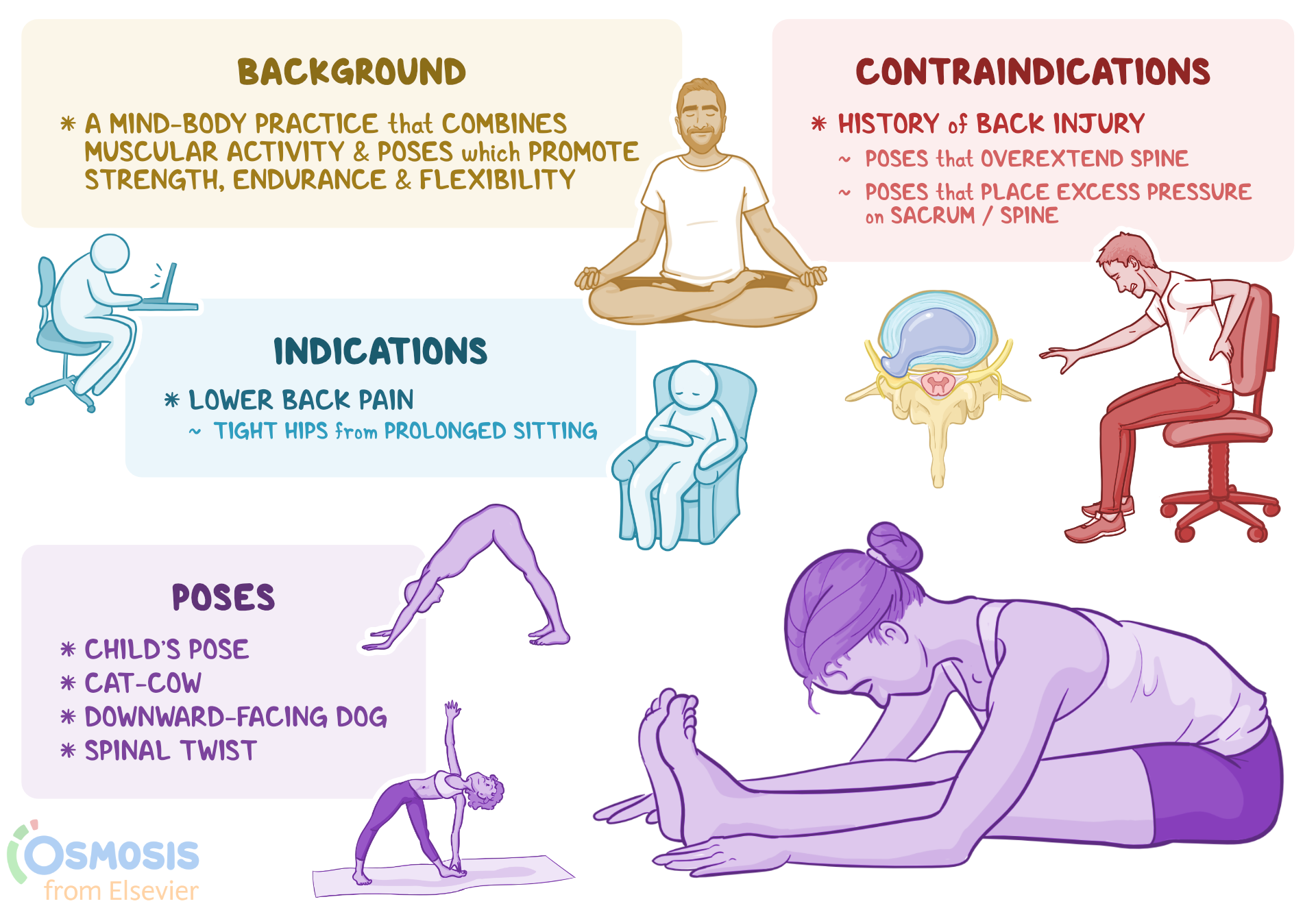 Yoga for Back Pain: What It Is | Osmosis