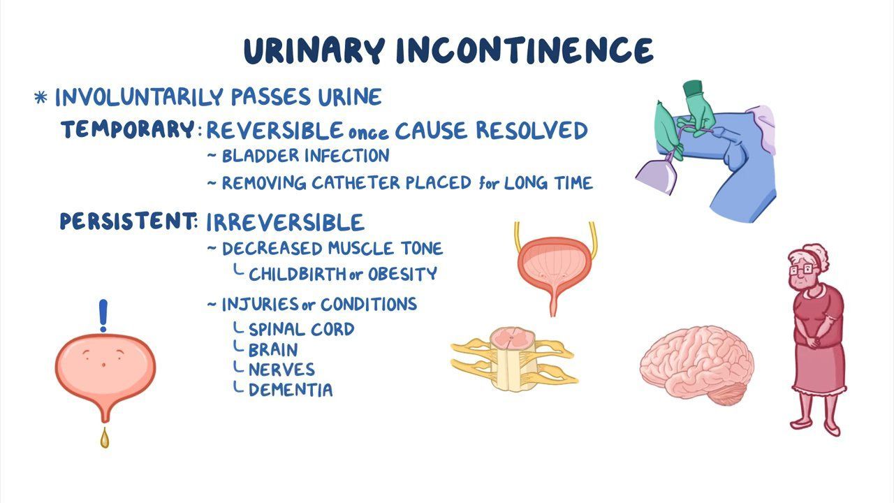 Urinary Retention Presentation Youtube