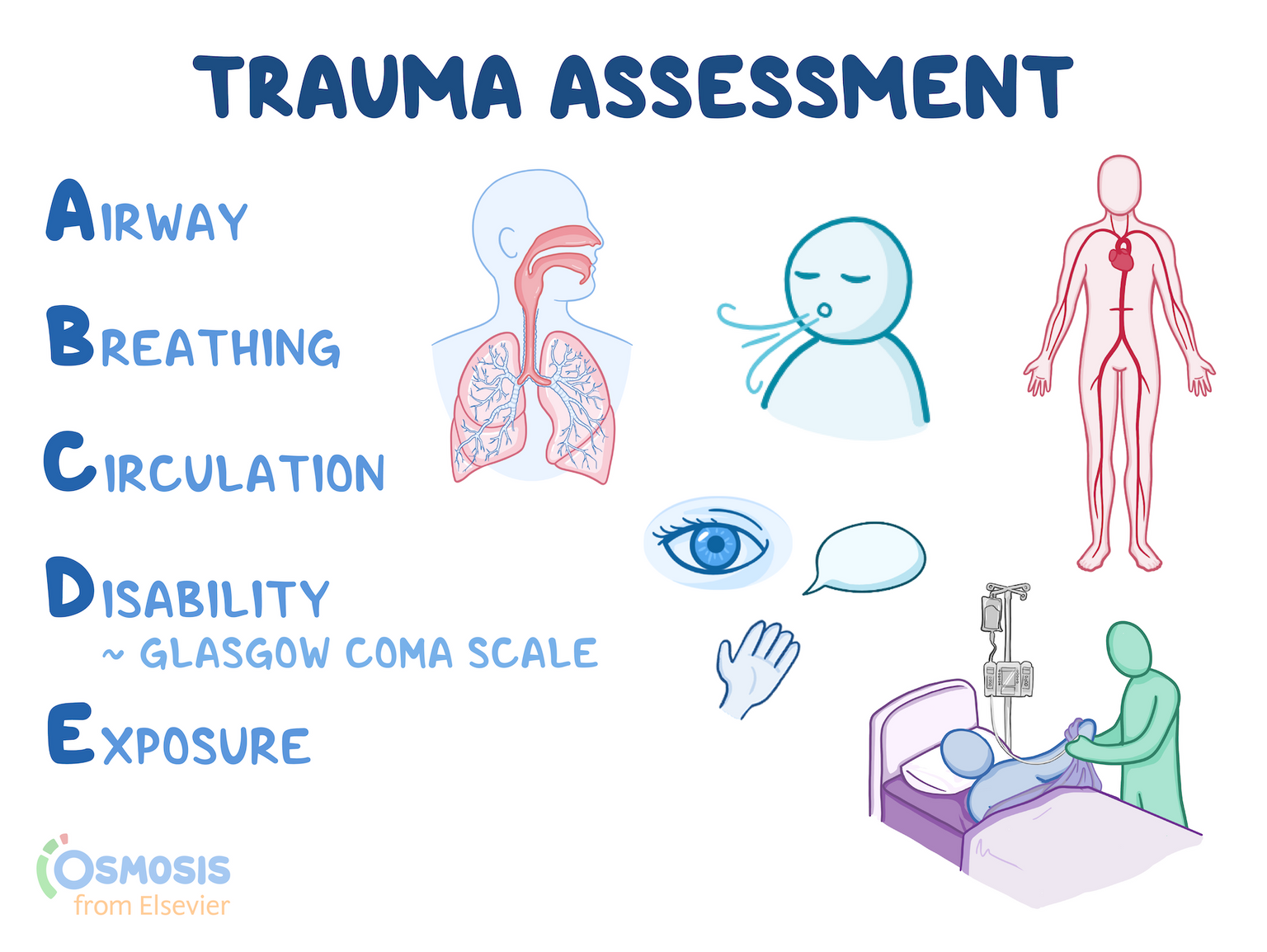 ABCDE: Trauma Assessment Mnemonic | Osmosis