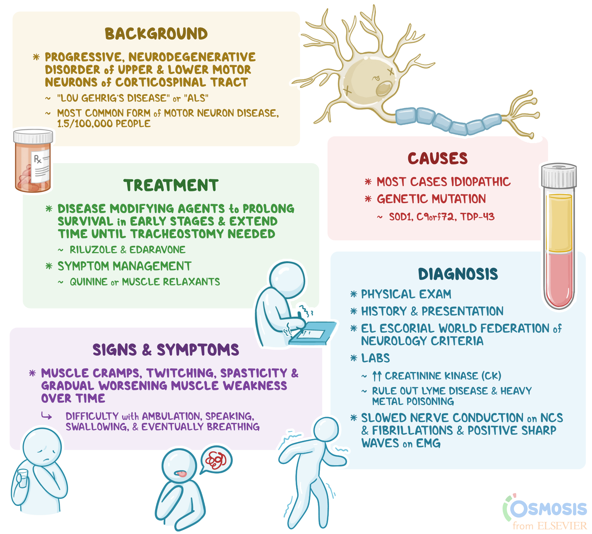 Amyotrophic Lateral Sclerosis ALS What Is It Causes Treatment And