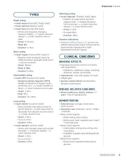 Insulins: Video, Causes, & Meaning | Osmosis