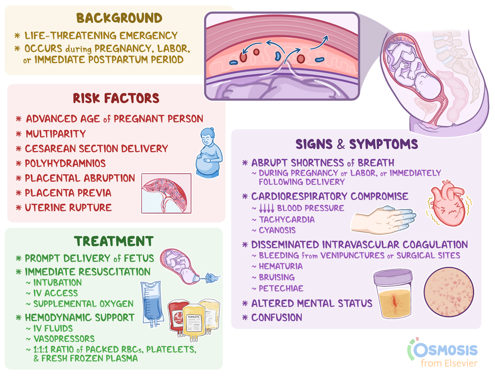 Amniotic Fluid Embolism: What It Is, Causes, Signs and Symptoms | Osmosis