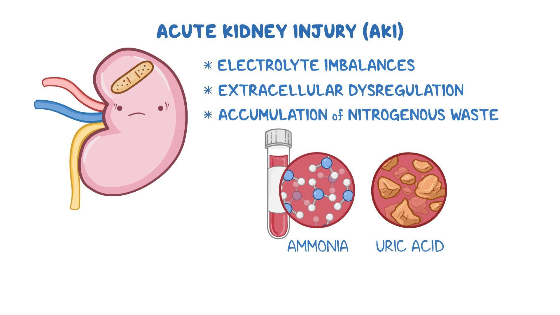 Video: Approach to acute kidney injury: Clinical sciences | Osmosis