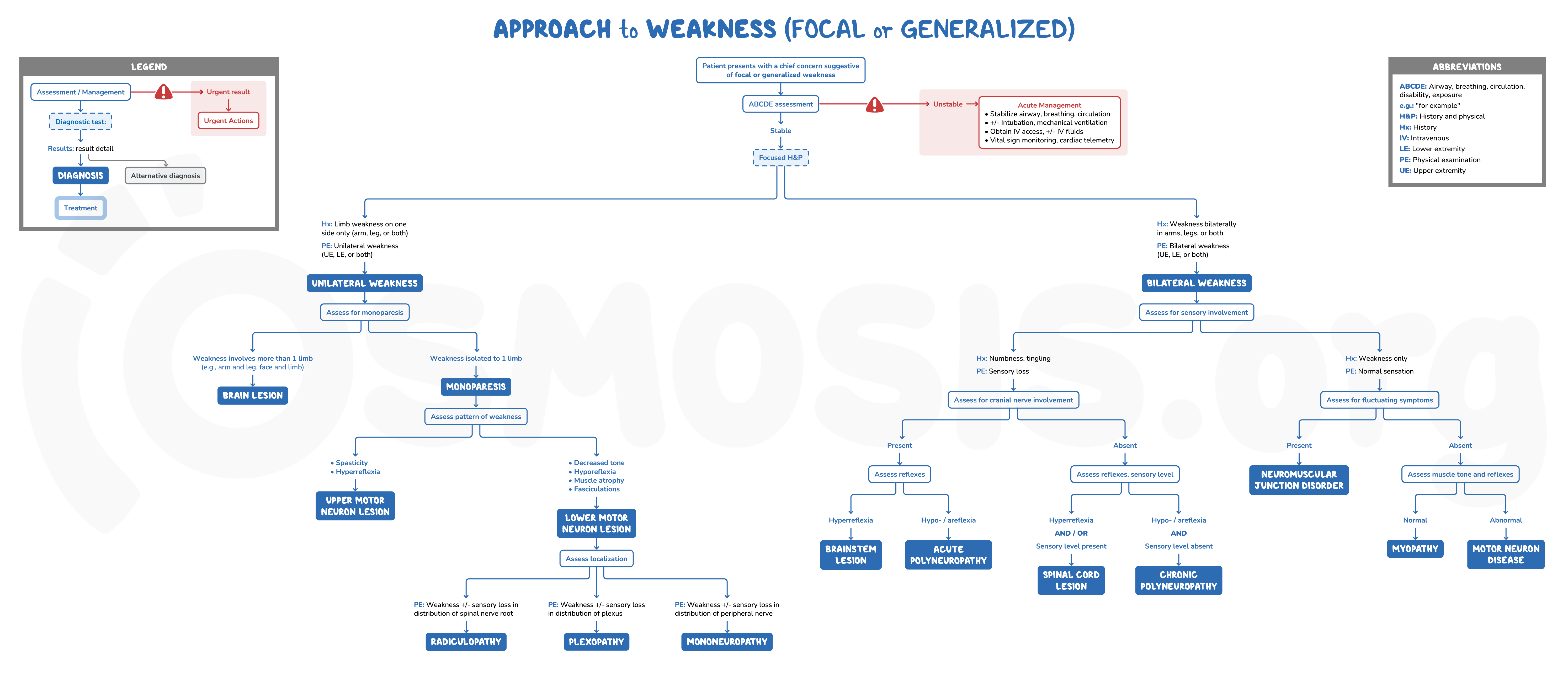Focal Motor Weakness