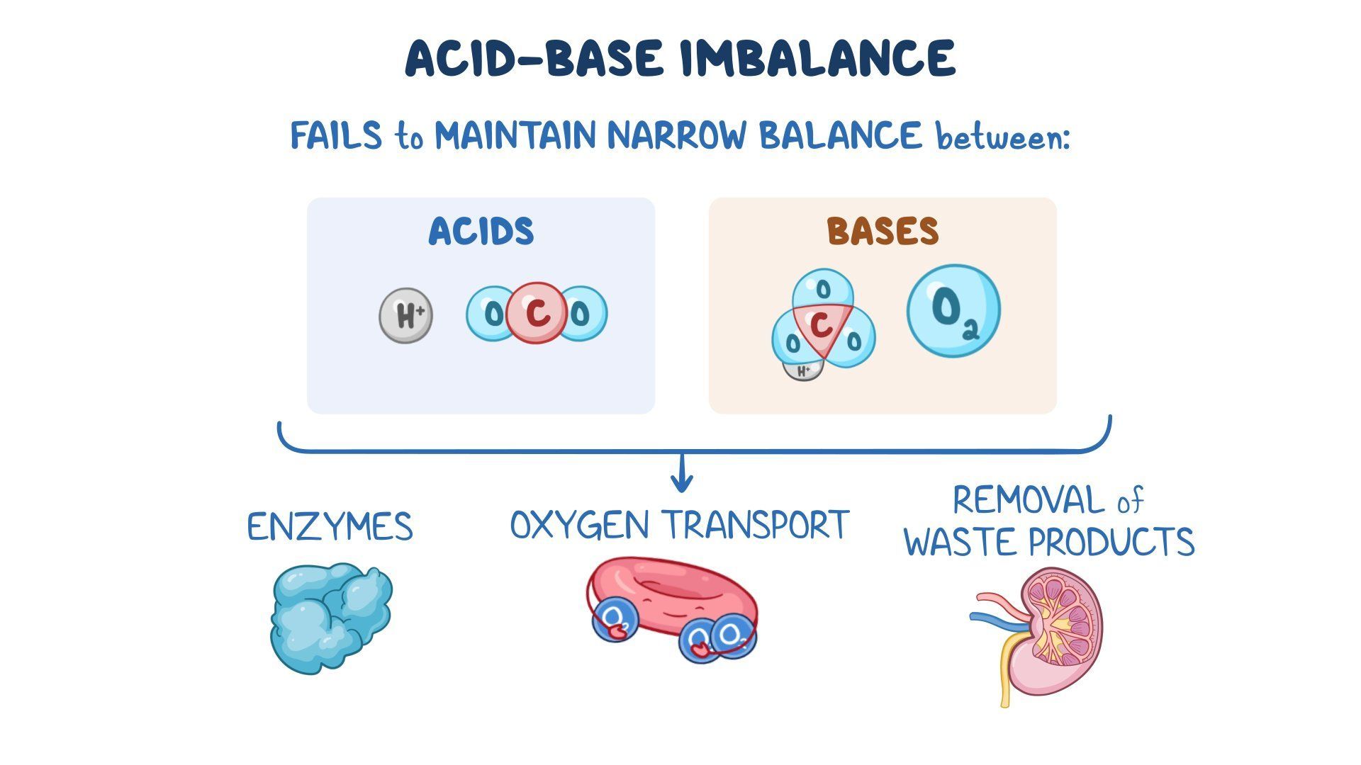 Video: Acid-base Imbalance | Osmosis