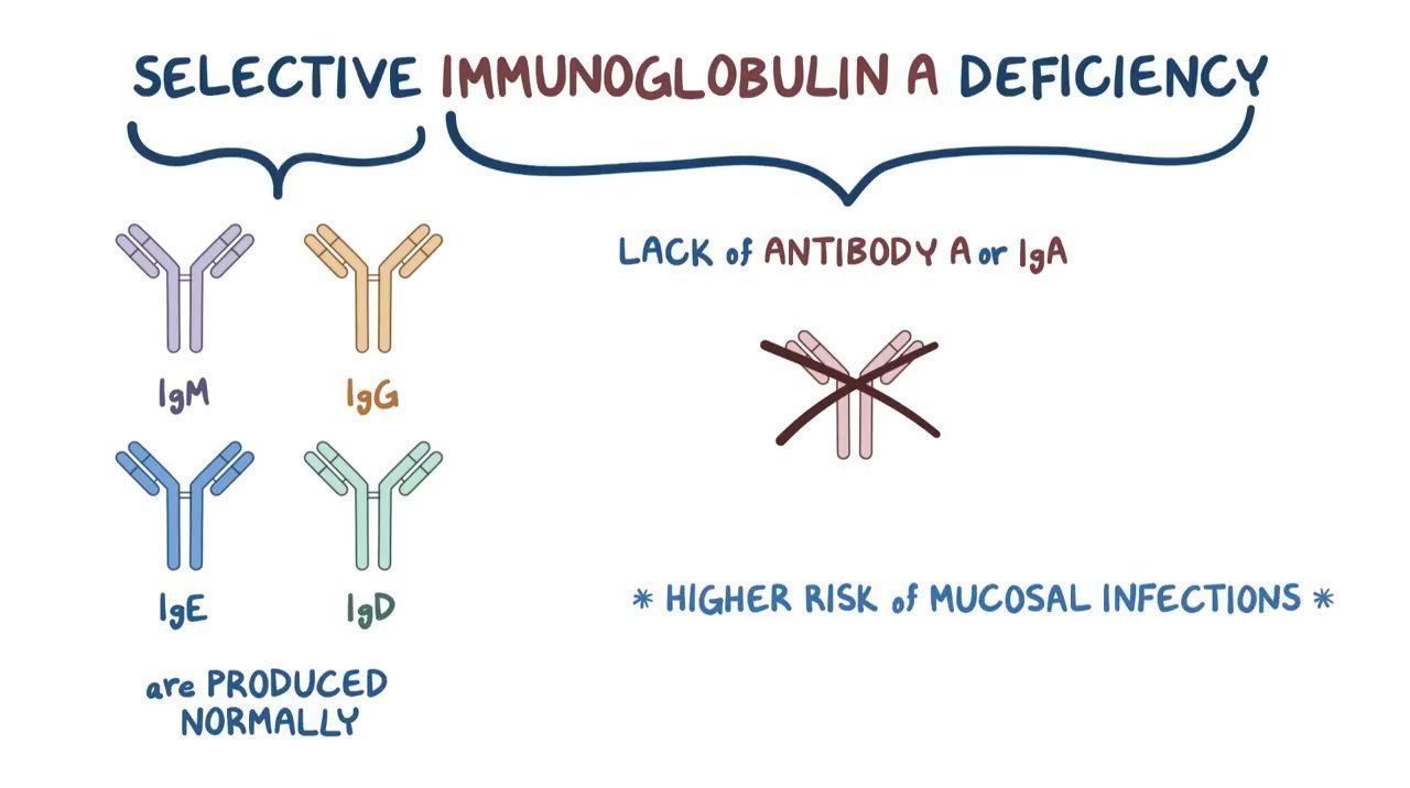 Video: Selective immunoglobulin A deficiency | Osmosis