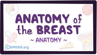 Video poster for Anatomy of the breast