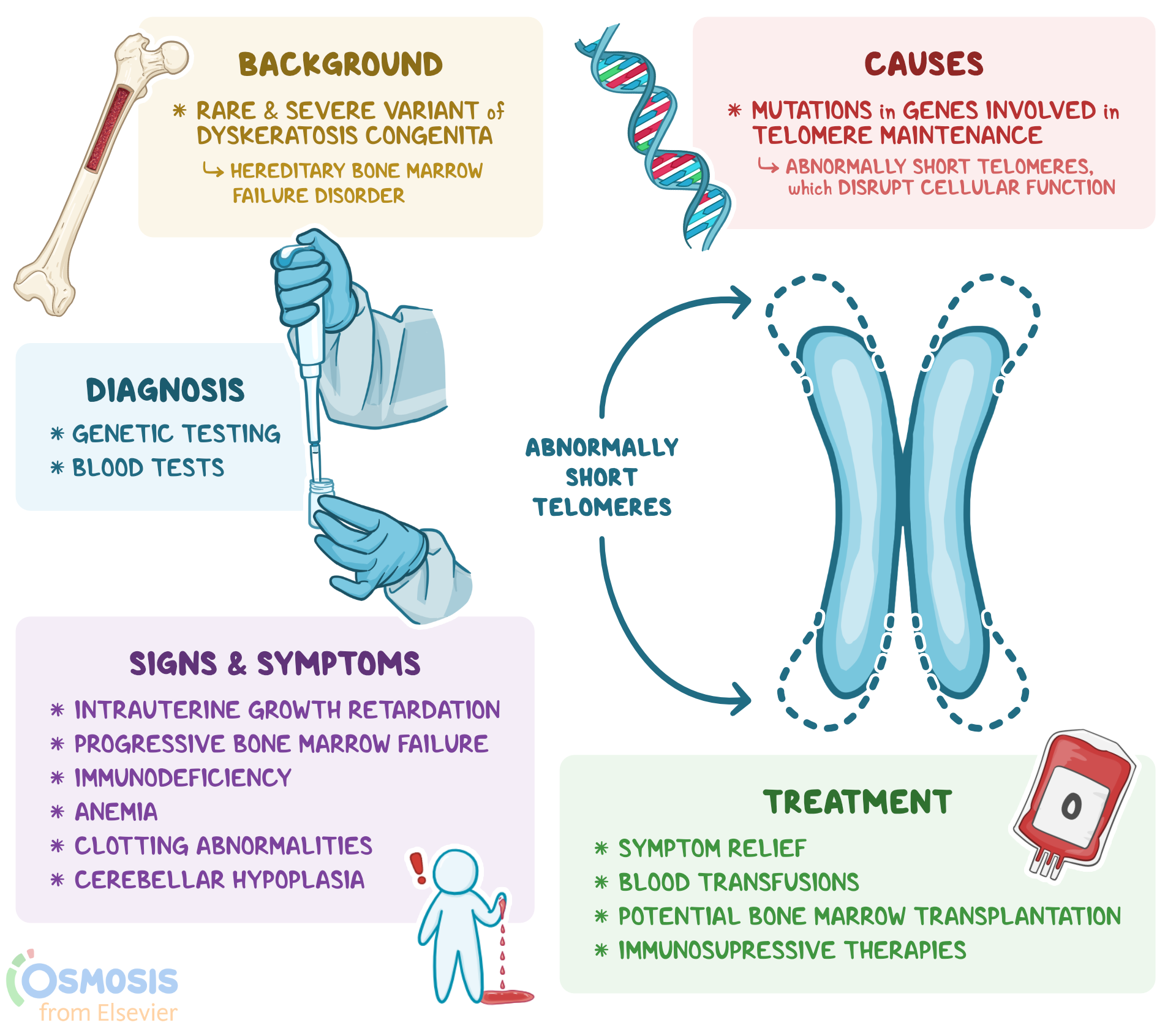 Hoyeraal Hreidarsson Syndrome: What Is It, Causes, Treatment, and More ...