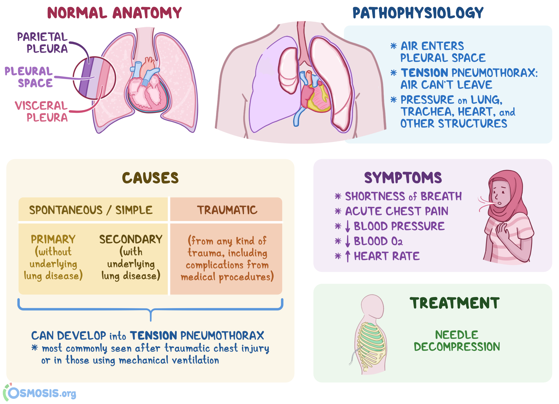 Types Of Lung Sounds Wolfvo Types Of Lung Sounds Wolfvo