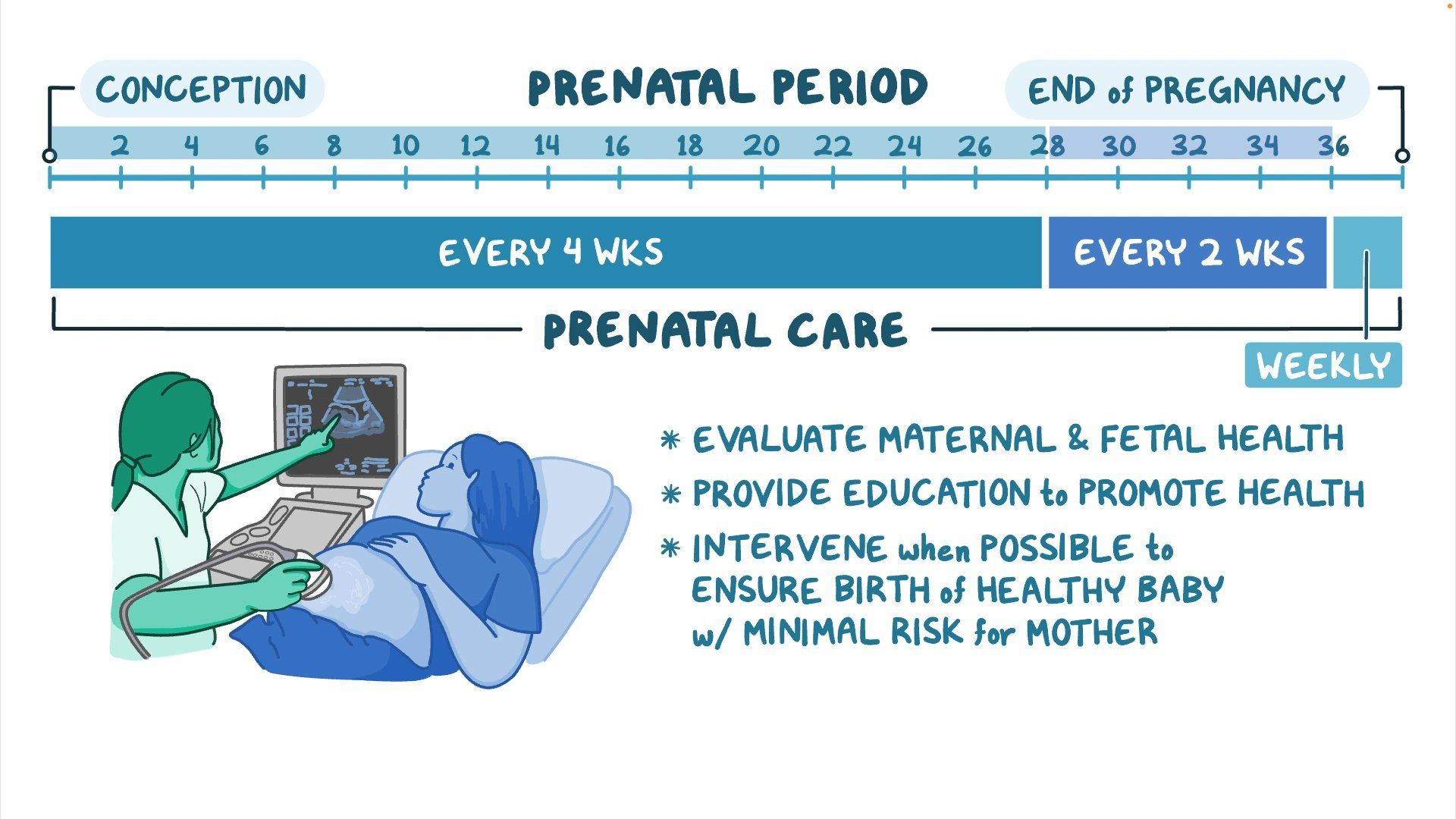 Video: Prenatal care: Nursing | Osmosis